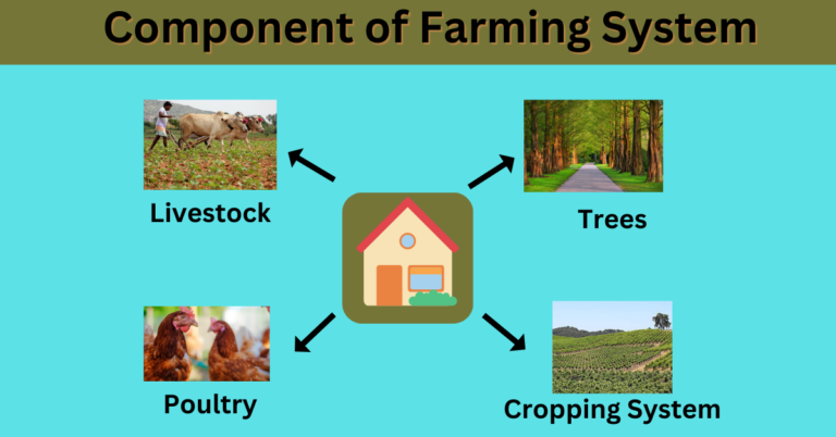 Types Of Farming System, Concept & Factor Affecting