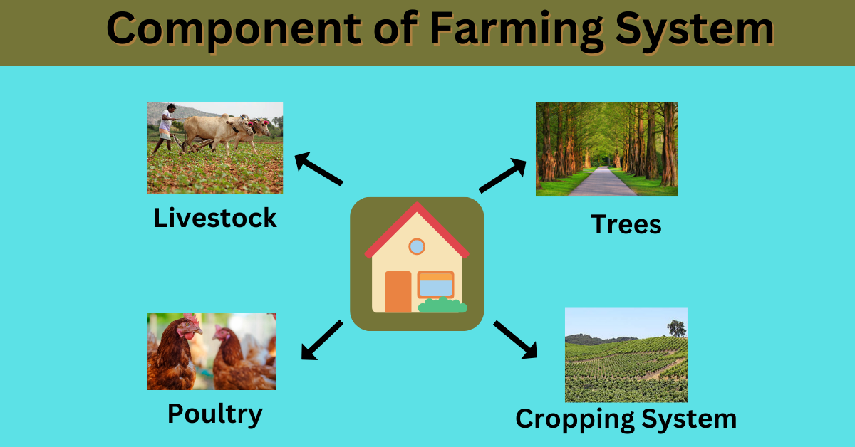 Types Of Farming System, Concept & Factor Affecting