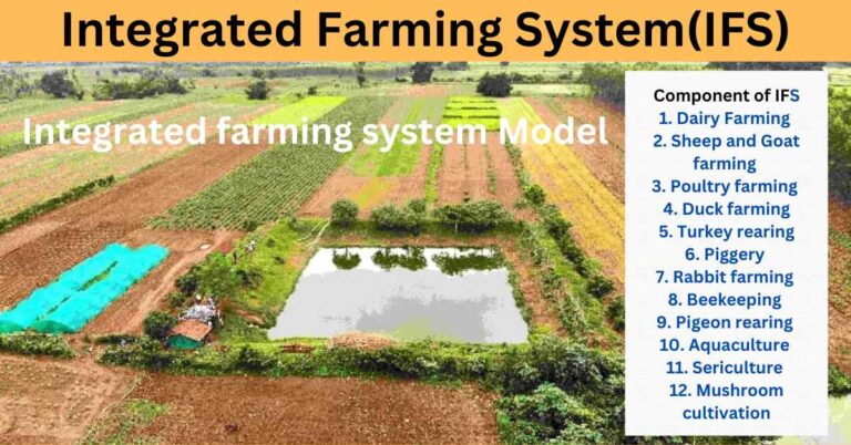 Integrated Farming System: 9 Models, Objectives & Advantages