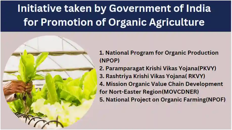 Initiative Taken By Government Of India For Promotion Of Organic ...